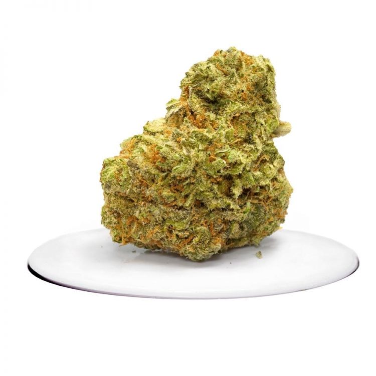 Cherry Pie Strain Review & Information