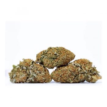 Tangie Strain Review & Information